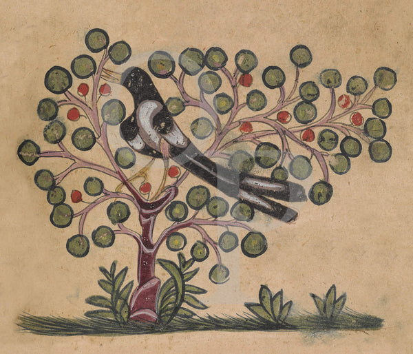 Medieval Bird in a Tree. Fine Art Print - Opium of the Poets