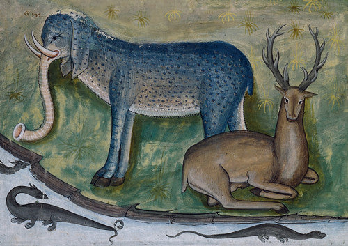 Elephant and Stag. Fine Art Print - Opium of the Poets