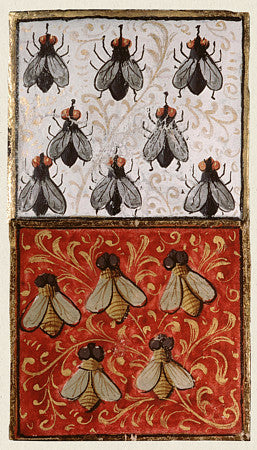 Medieval Insects. Bees and Flies. Fine Art Print - Opium of the Poets