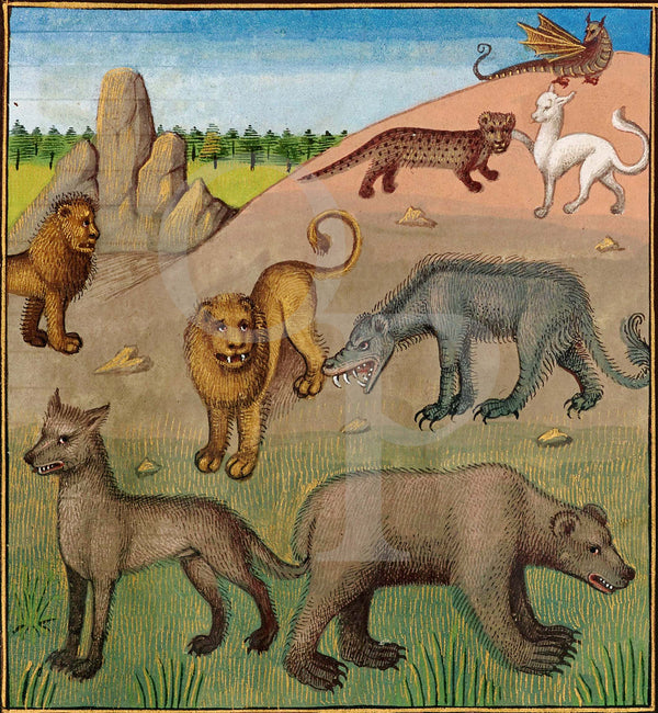 Medieval Animal Painting. Fine Art Print - Opium of the Poets