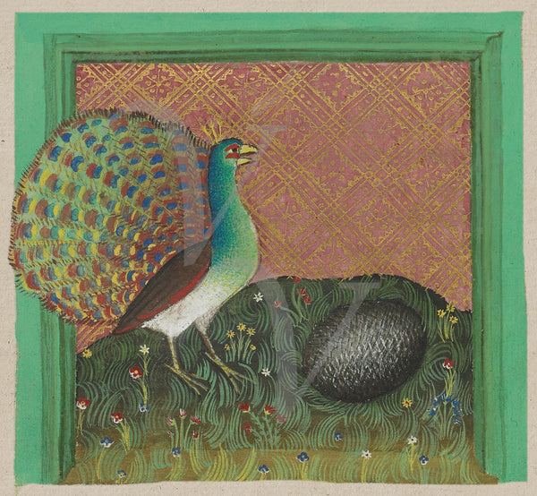 Peacock and Hedgehog. Medieval Painting- Fine Art Print - Opium of the ...