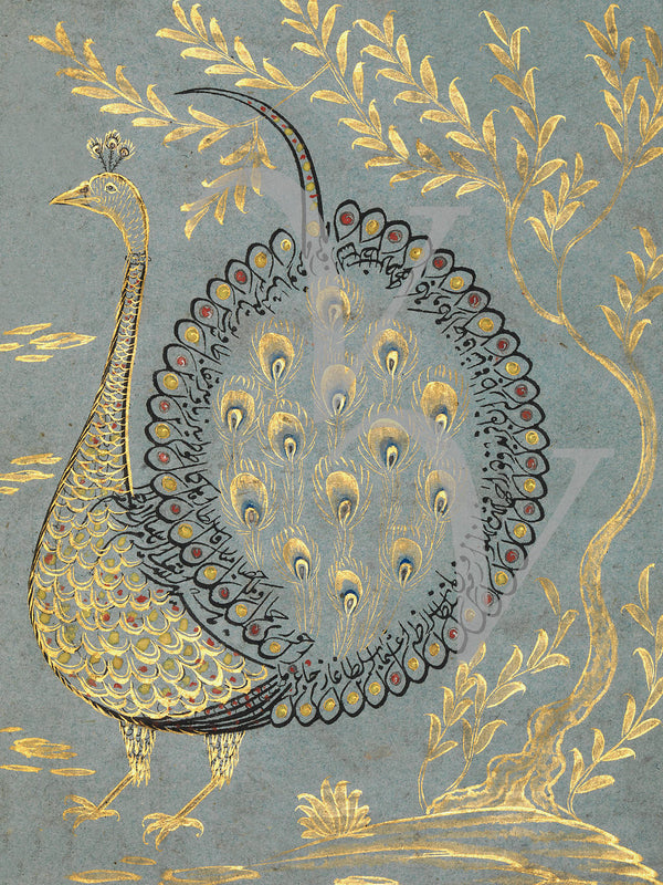 Turkish Peacock Painting. Fine Art Print - Opium of the Poets