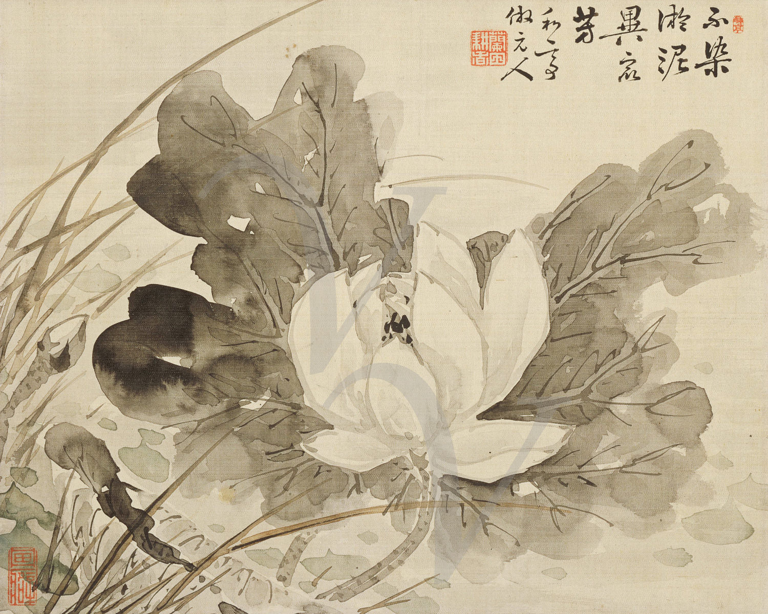 Japanese Lotus Flower Art Lotus Flower Traditional Japanese Flora By